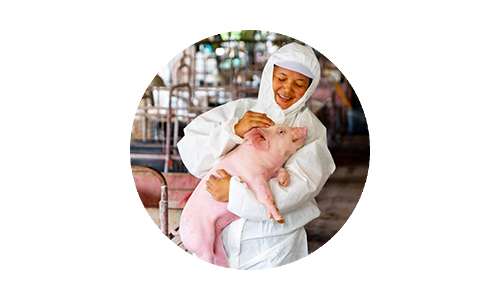 Animal Welfare