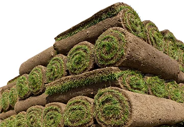 Aménagement paysager et entretien de la pelouse