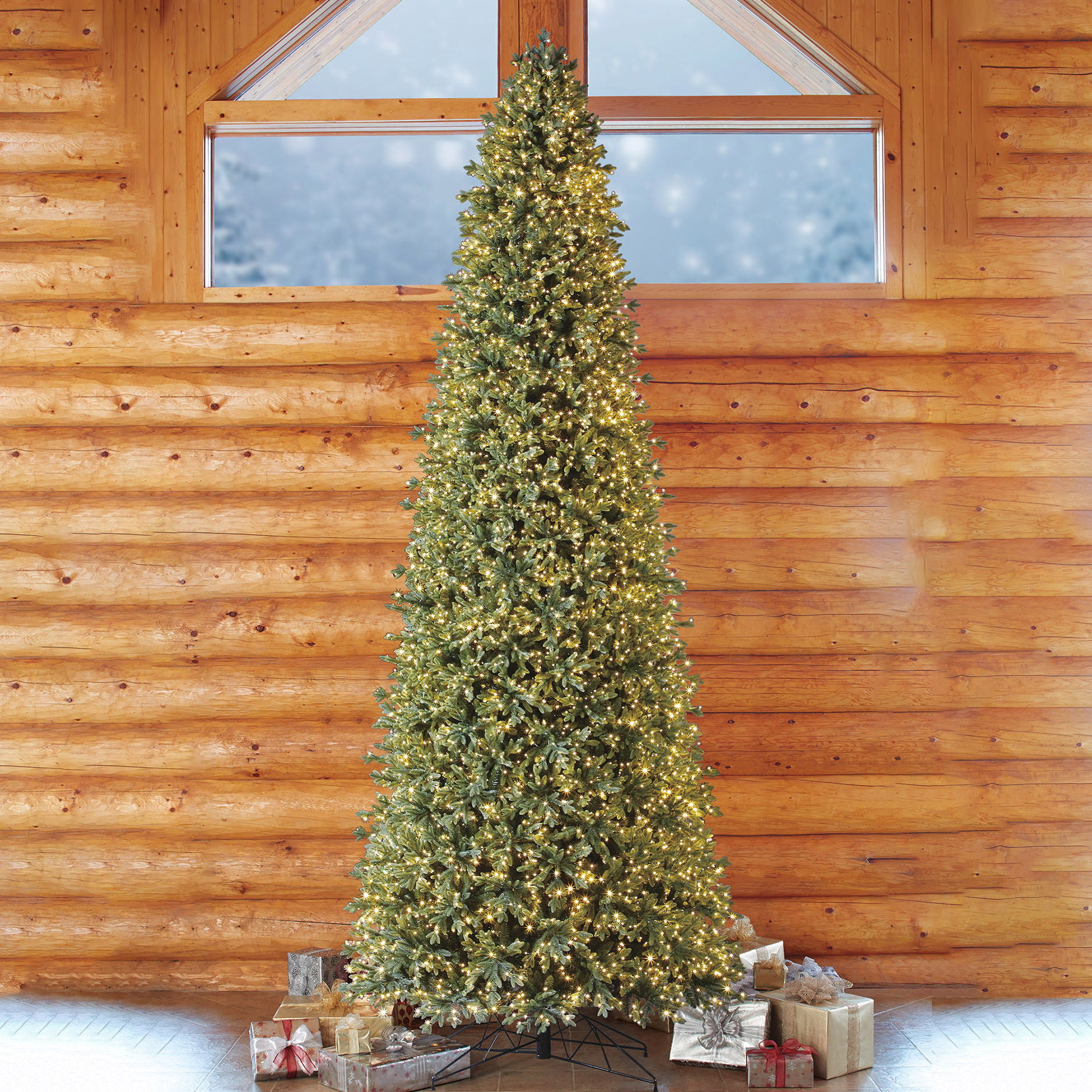 Christmas Trees | Costco