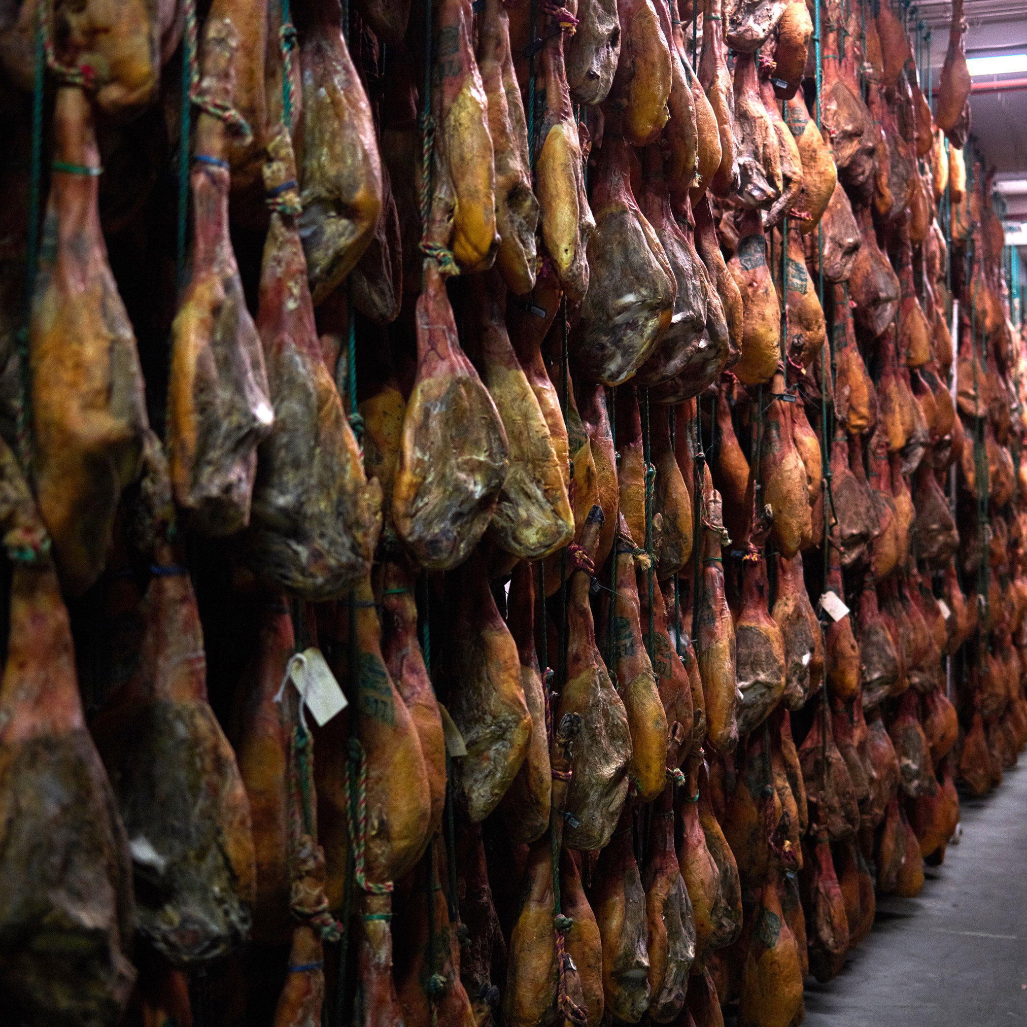 Iberico Bellota Ham Bone-in 48 Months, 8-10 kg | Costco