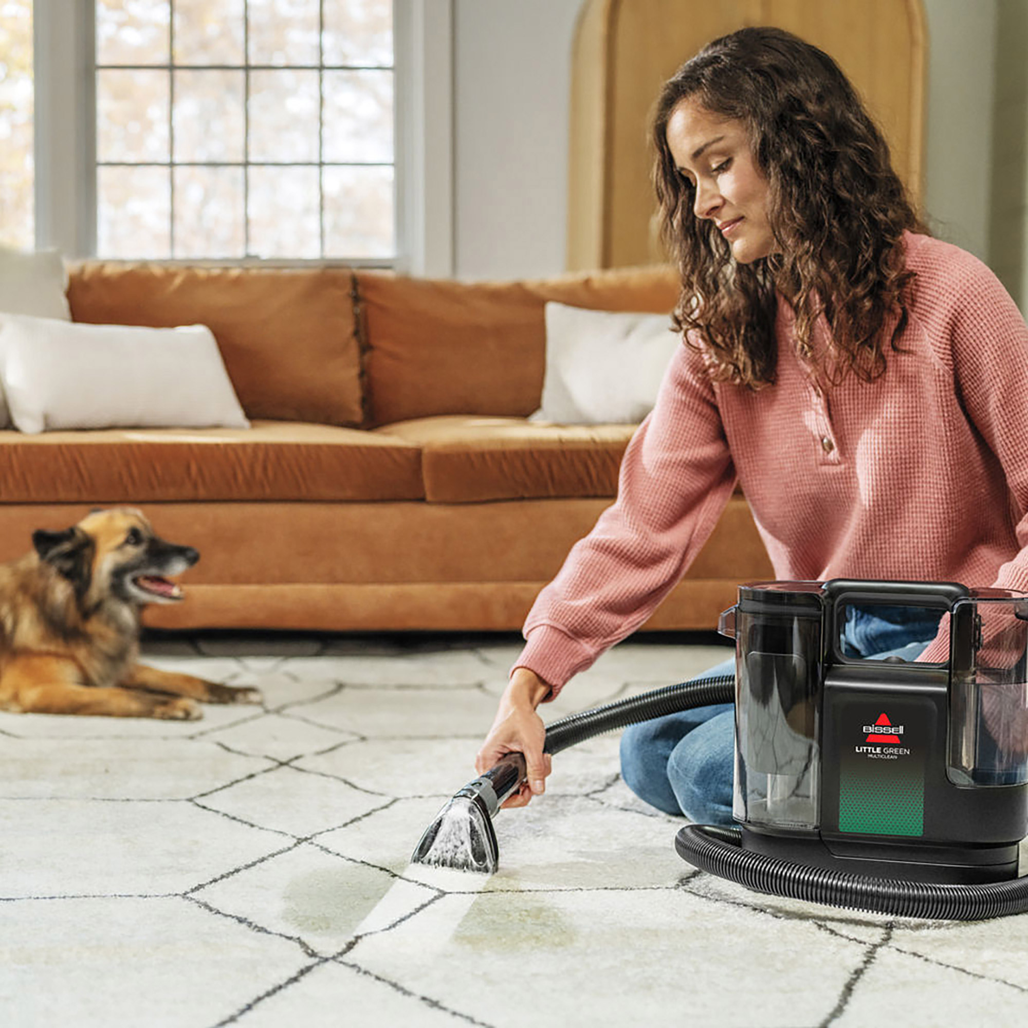 BISSELL Little Green MultiClean Wet and Dry Portable Carpet and ...