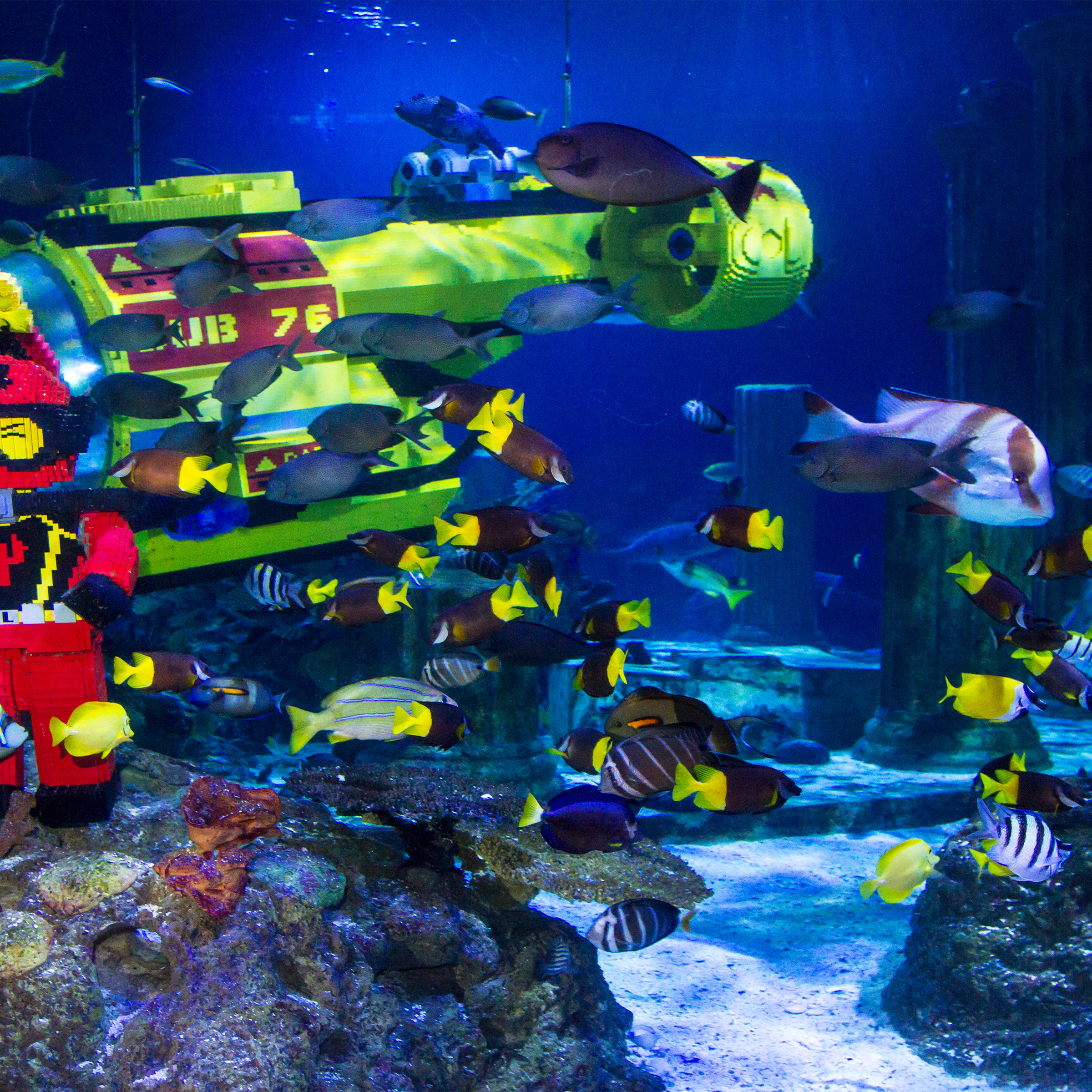 LEGOLAND California Three Day Sea Life + Water Park Resort Hopper | Costco