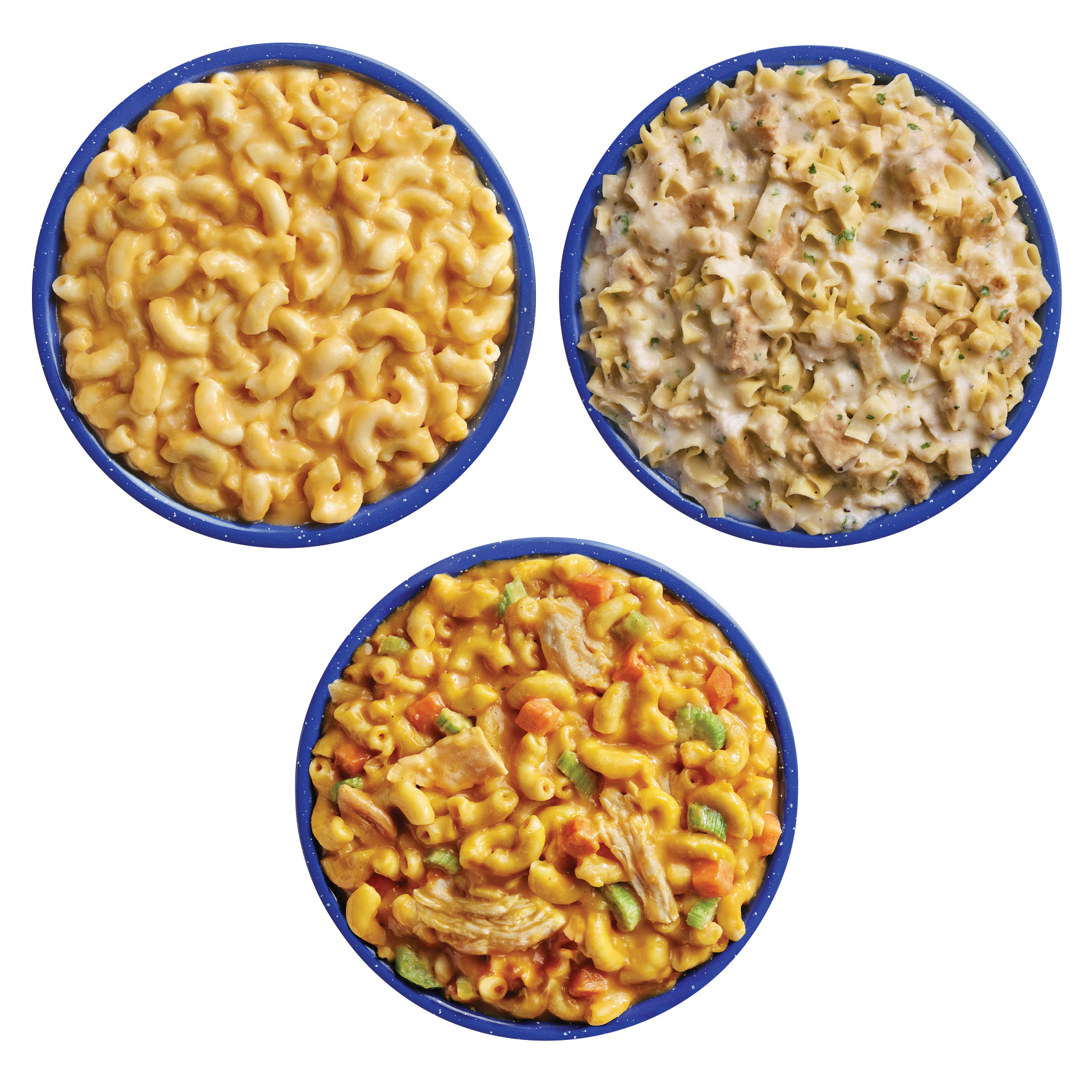 Mountain House Pasta Lovers Kit, 12 Pouches (24 Total Servings) | Costco