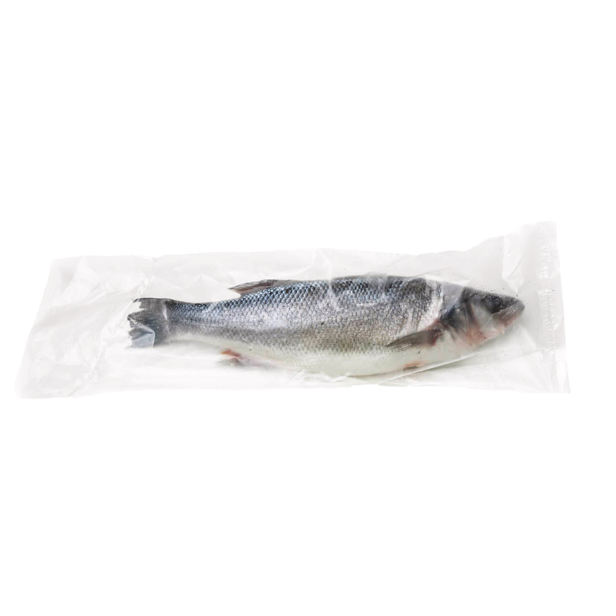 Whole Head On, Cleaned Branzino Fish (12-18 Oz. Per Fish), Min 7 Count ...
