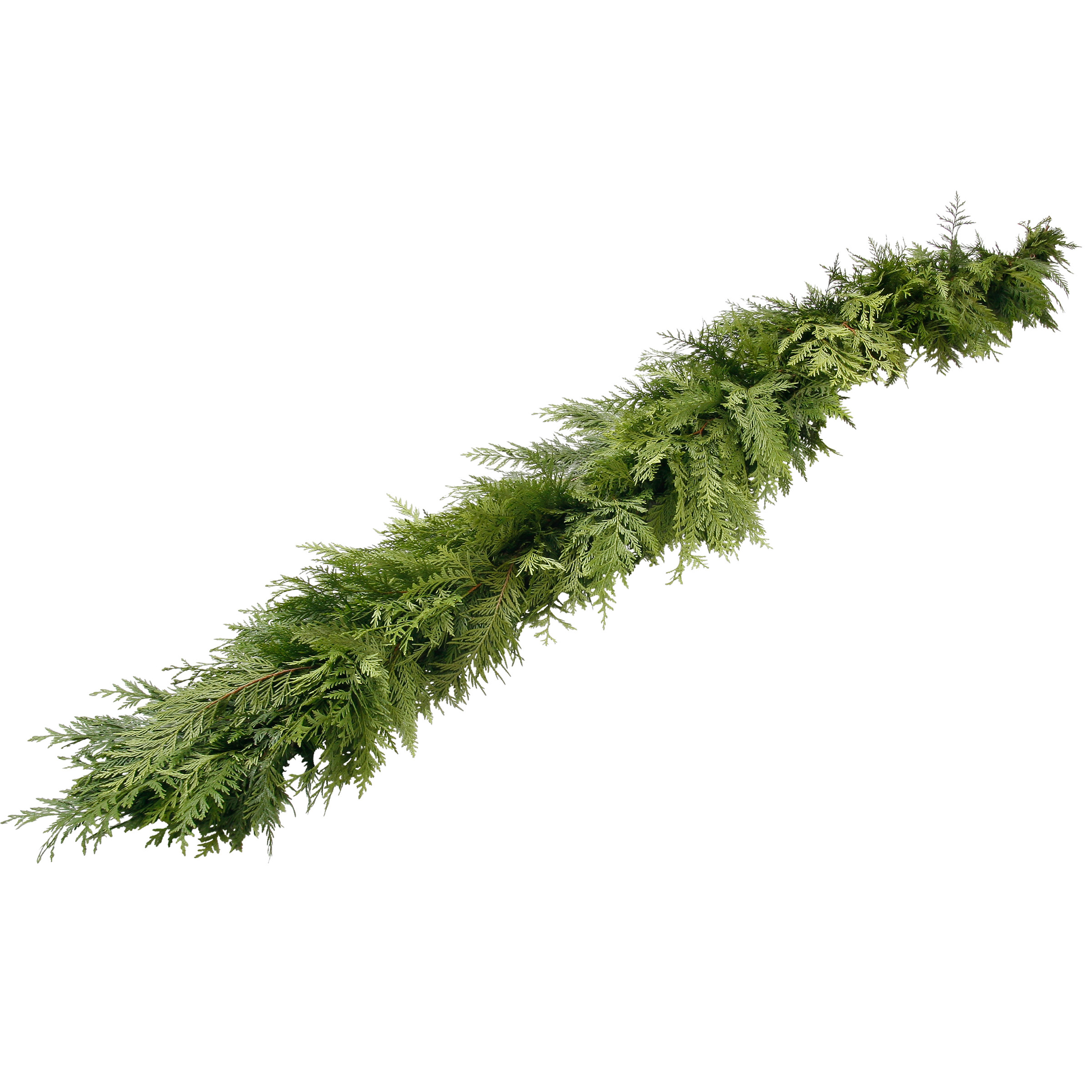 Holiday Home Greens Collection | Costco