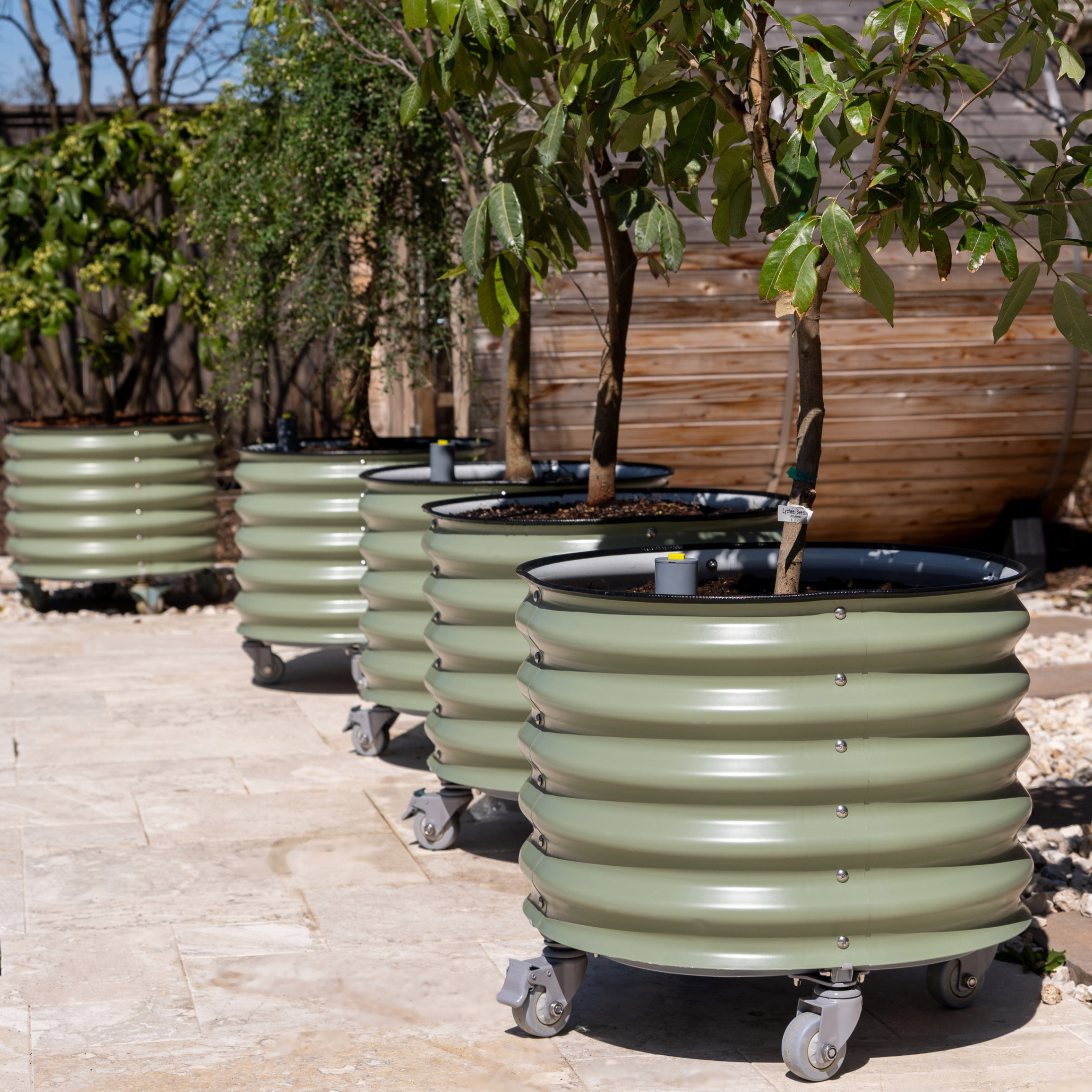 Vego Garden Self-Watering Rolling Citrus Tree Planter | Costco