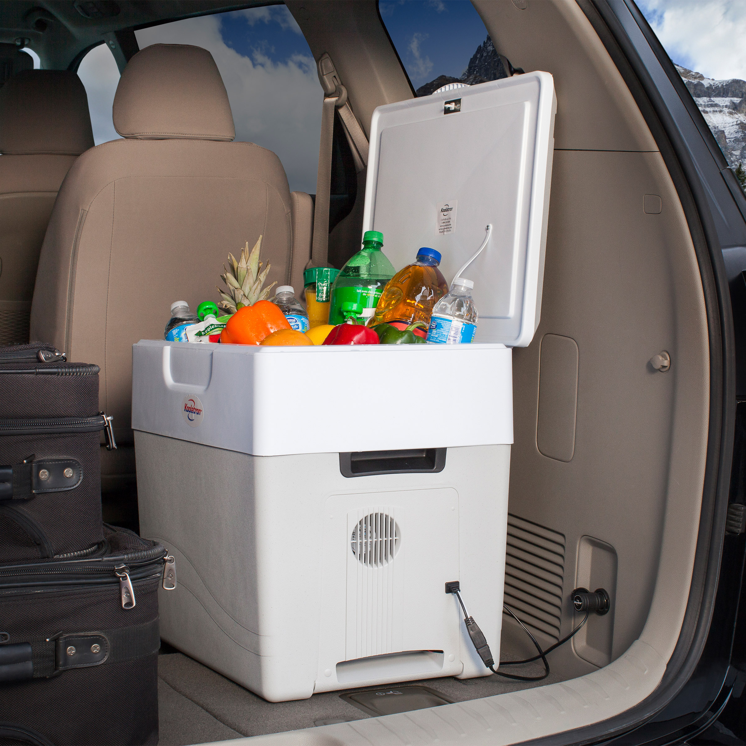 Titan Coolers | Costco