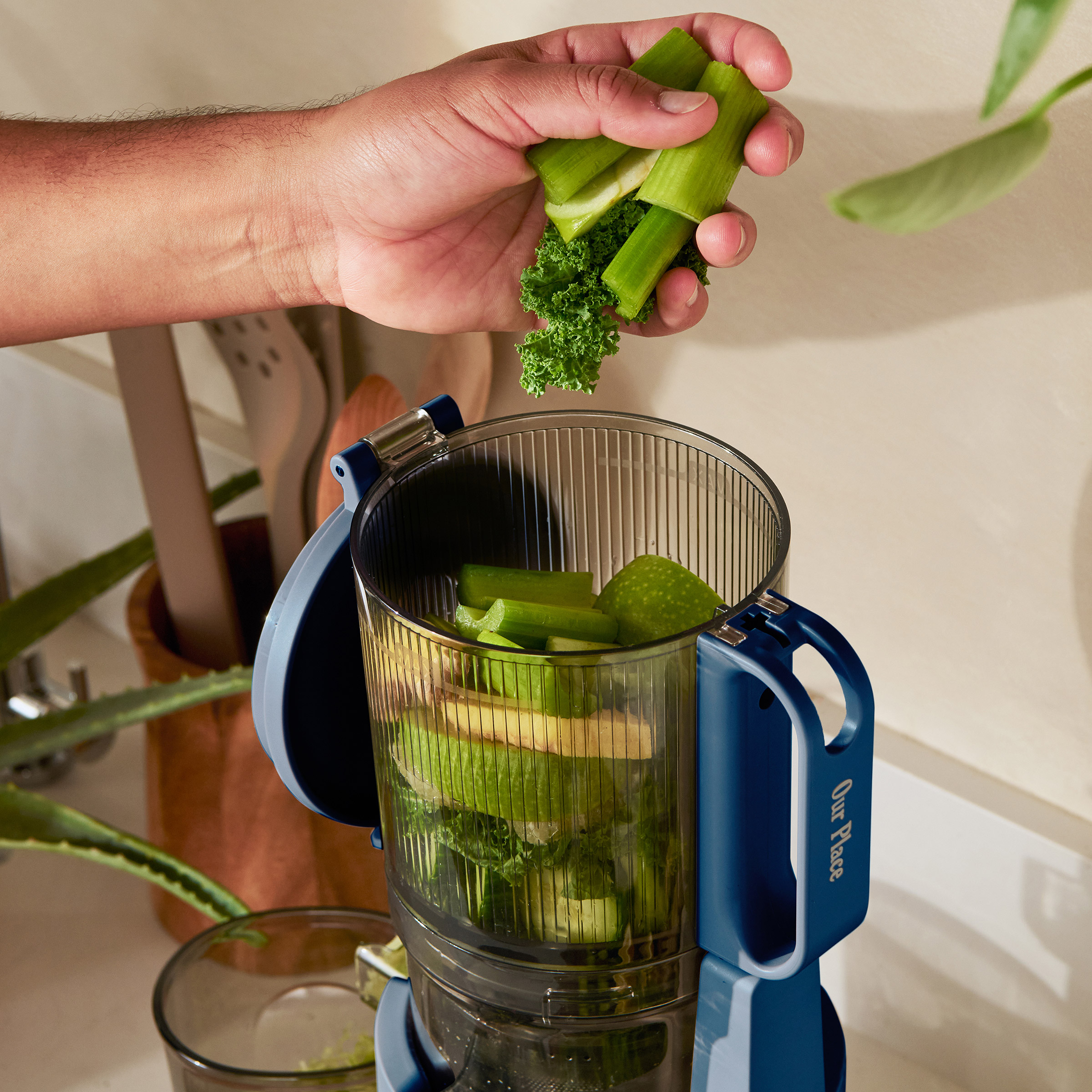 Our Place Cold Press Batch Juicer | Costco