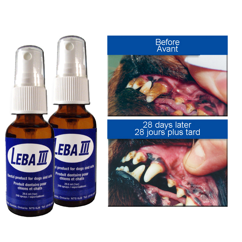 Leba III Dental Spray for Dogs and Cats, 2-pack | Costco