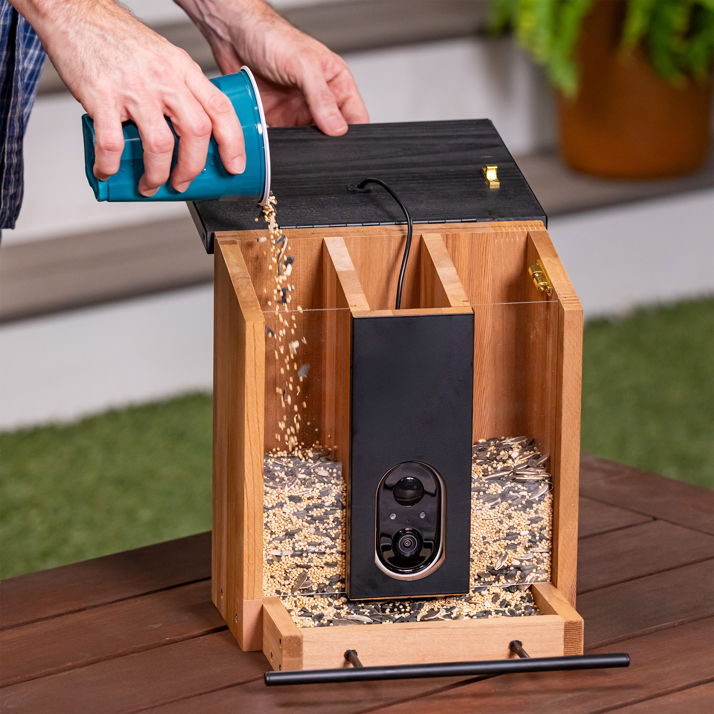 Solar Smart Bird Feeder | Costco