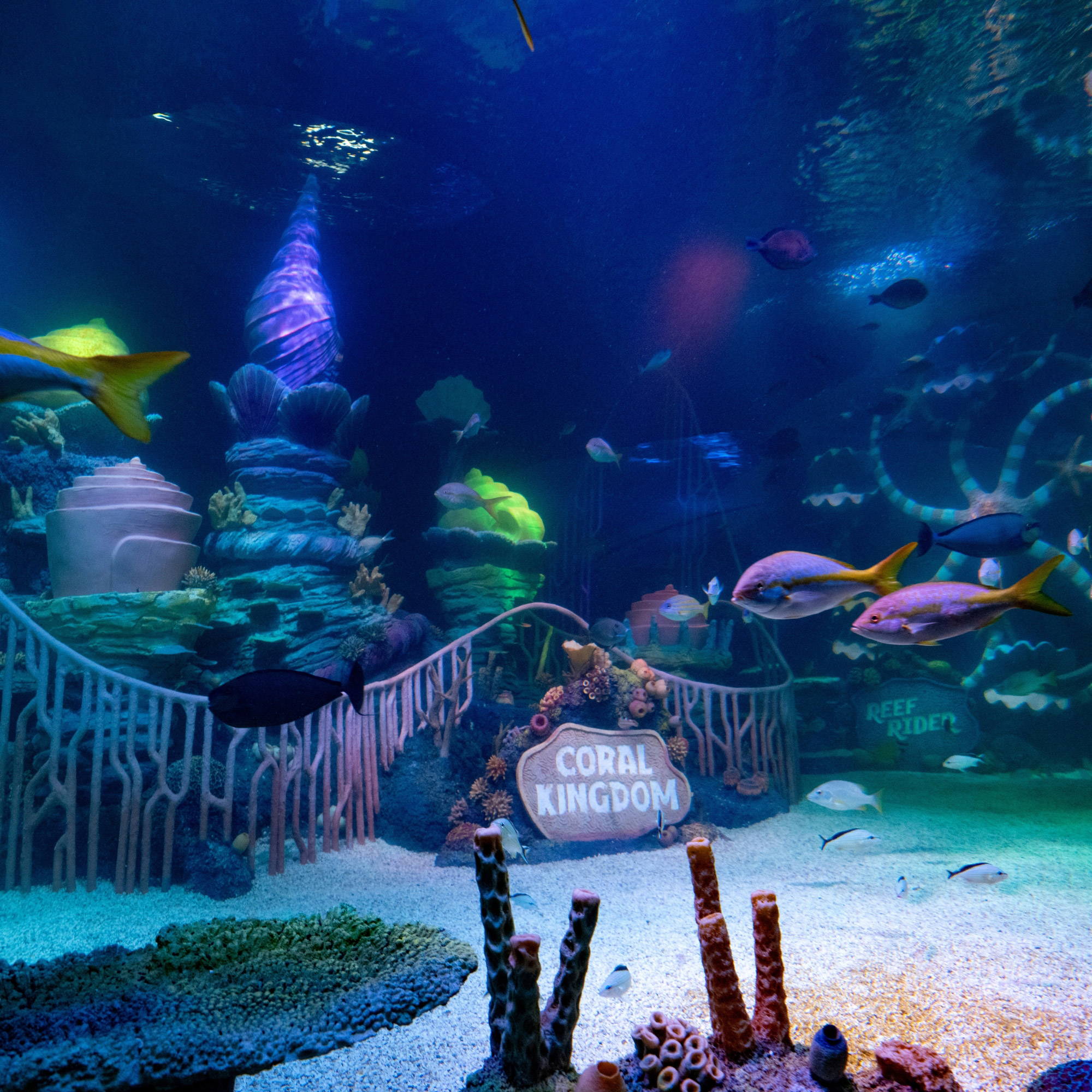 LEGOLAND Florida 2 Day Resort Hopper Ticket to Theme Park, SEA LIFE ...