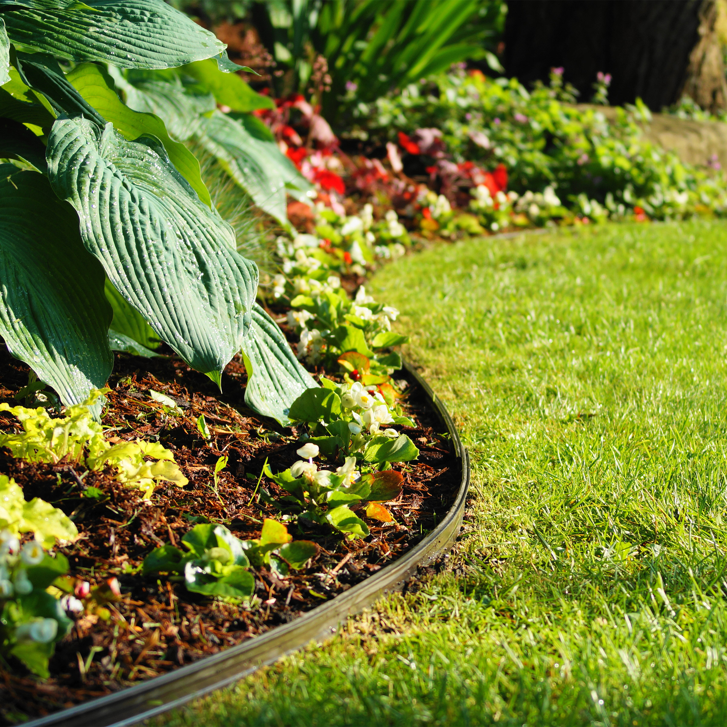 Aluminum Landscape Edging Euroline 48 M (157.5 Ft.) Professional