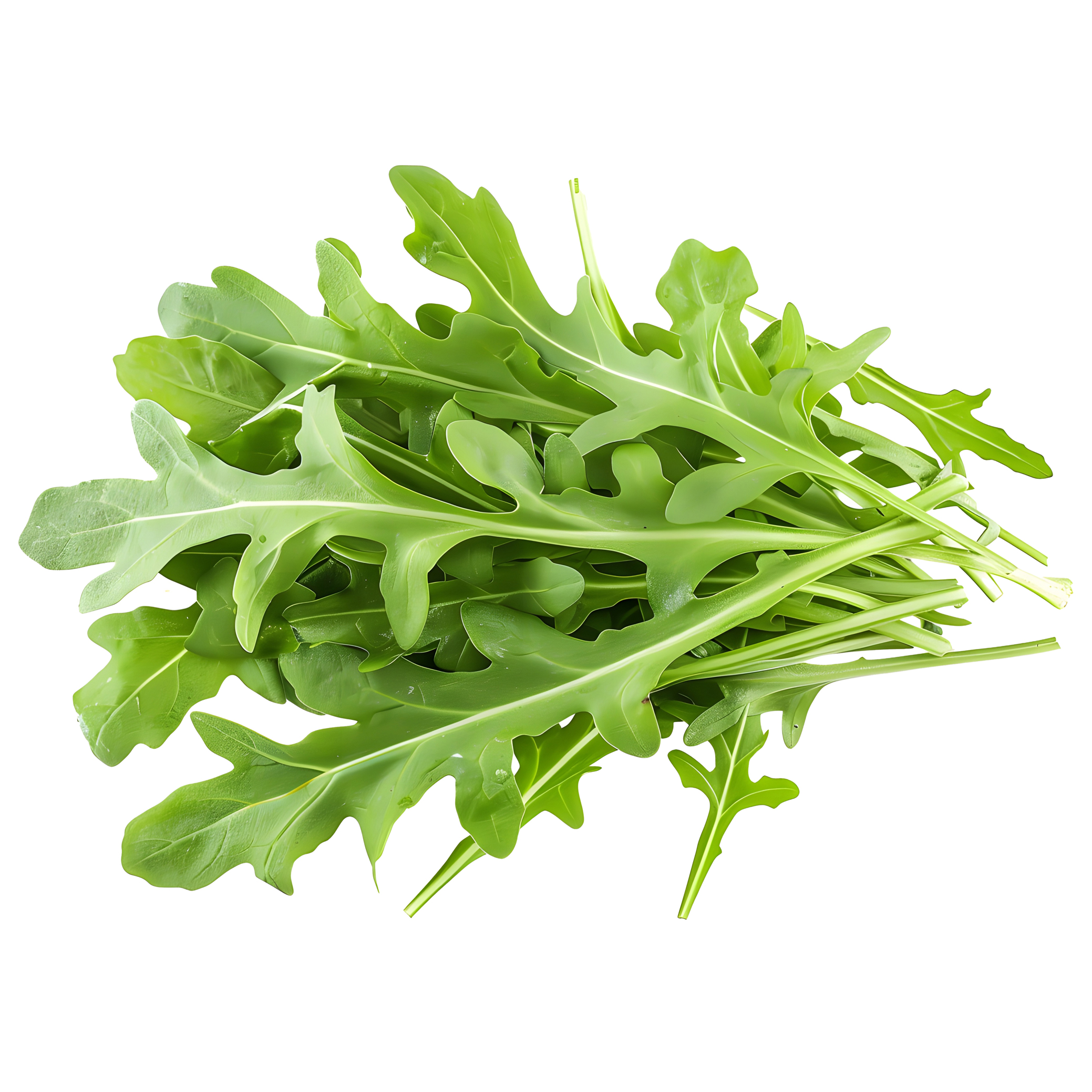 Organic Arugula, 10 oz | Costco