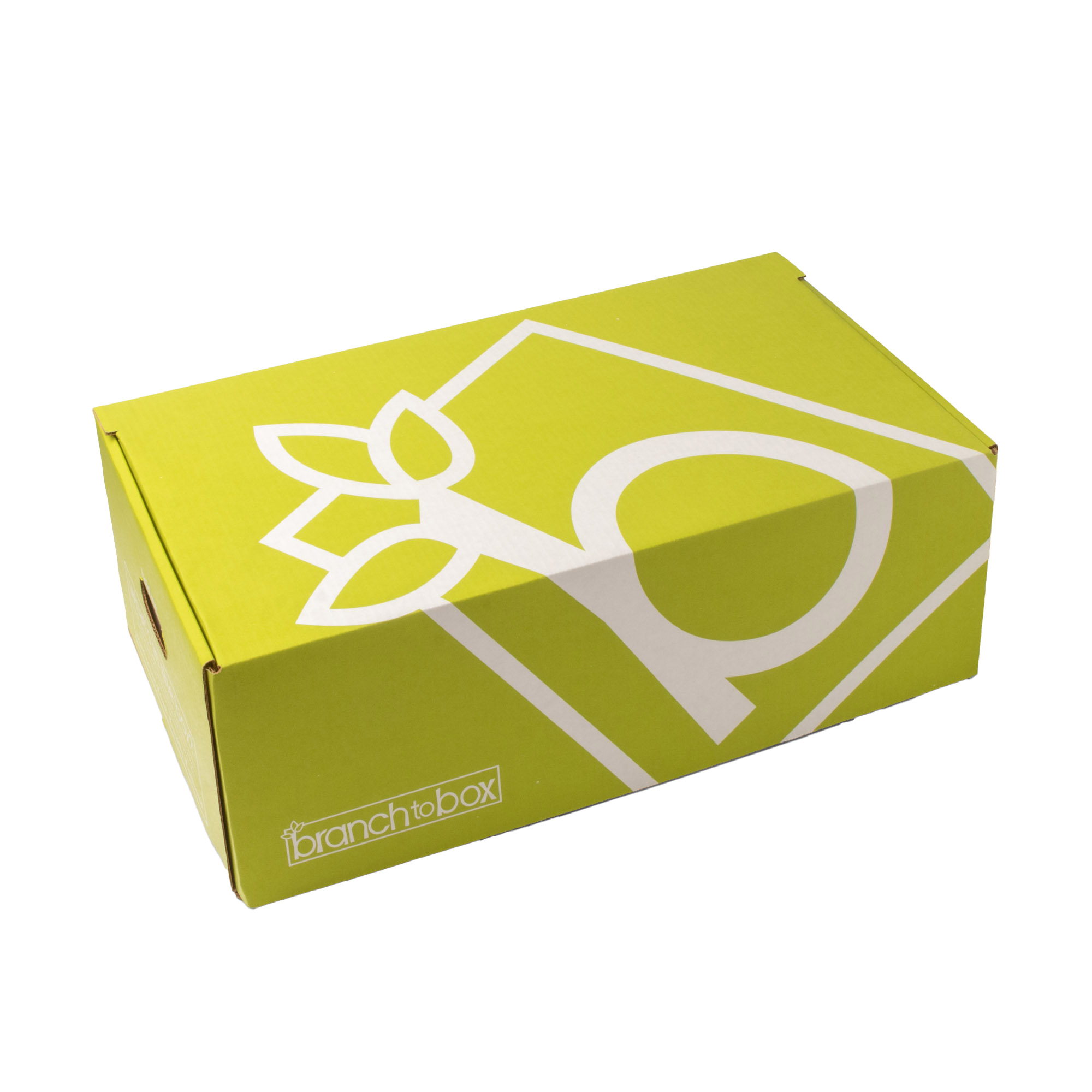 Branch to Box Jumbo Fruit and Snackette Box | Costco