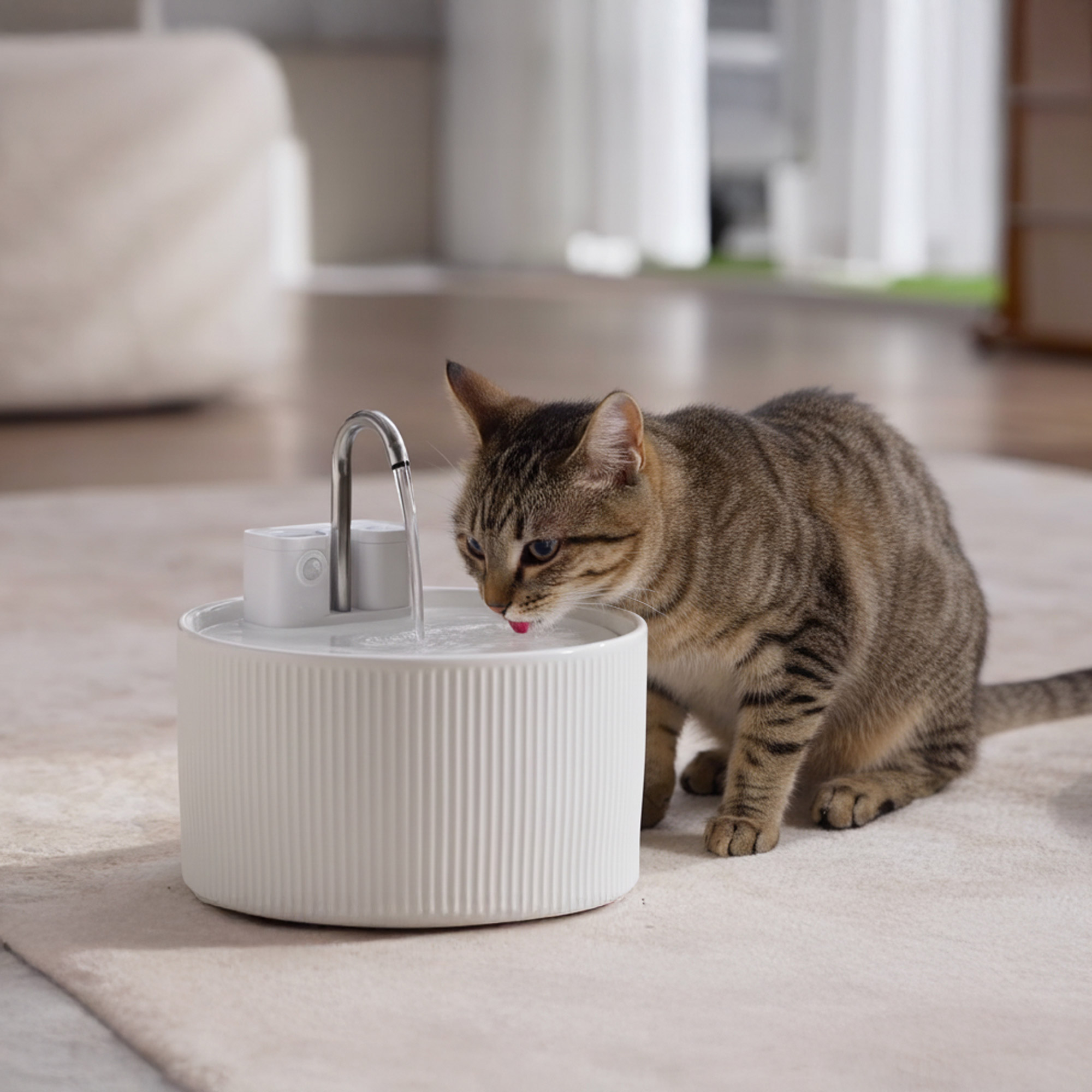 PawsPik Cordless Ceramic Faucet-Style Pet Water Fountain, Bundle | Costco