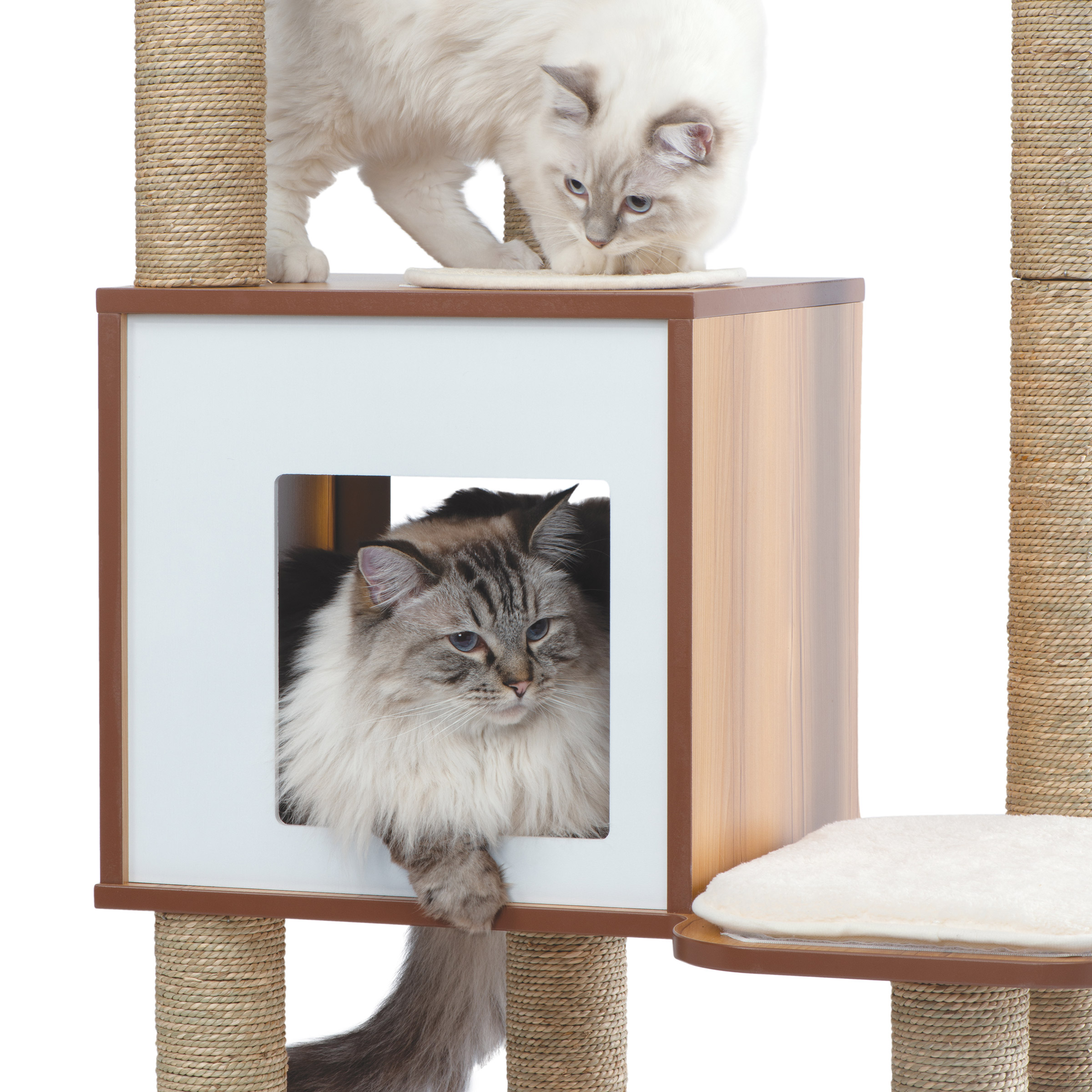 Catit Vesper High Base XL 62 inch Cat Tree, 5 Levels and 1 Condo ...