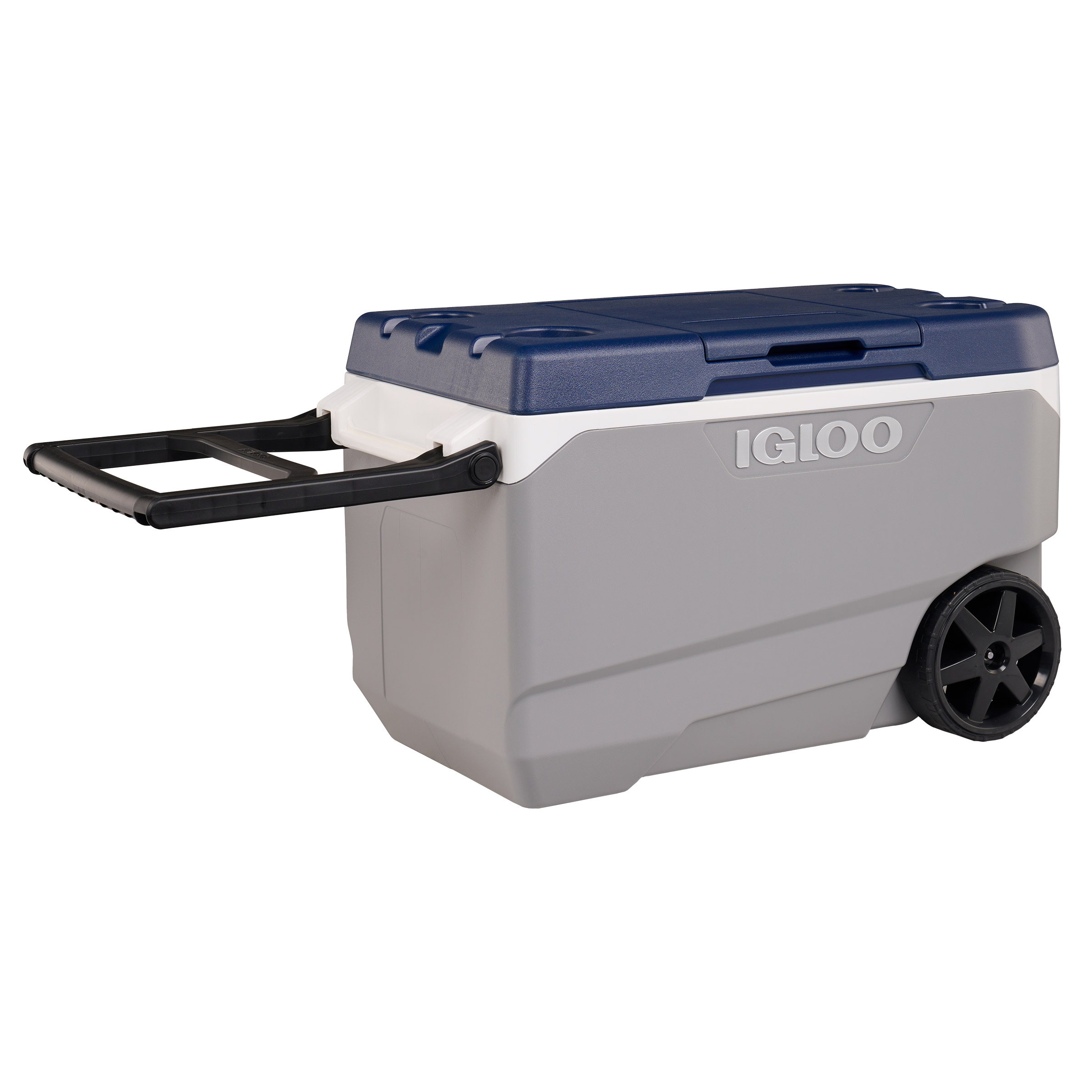 Igloo Coolers | Costco