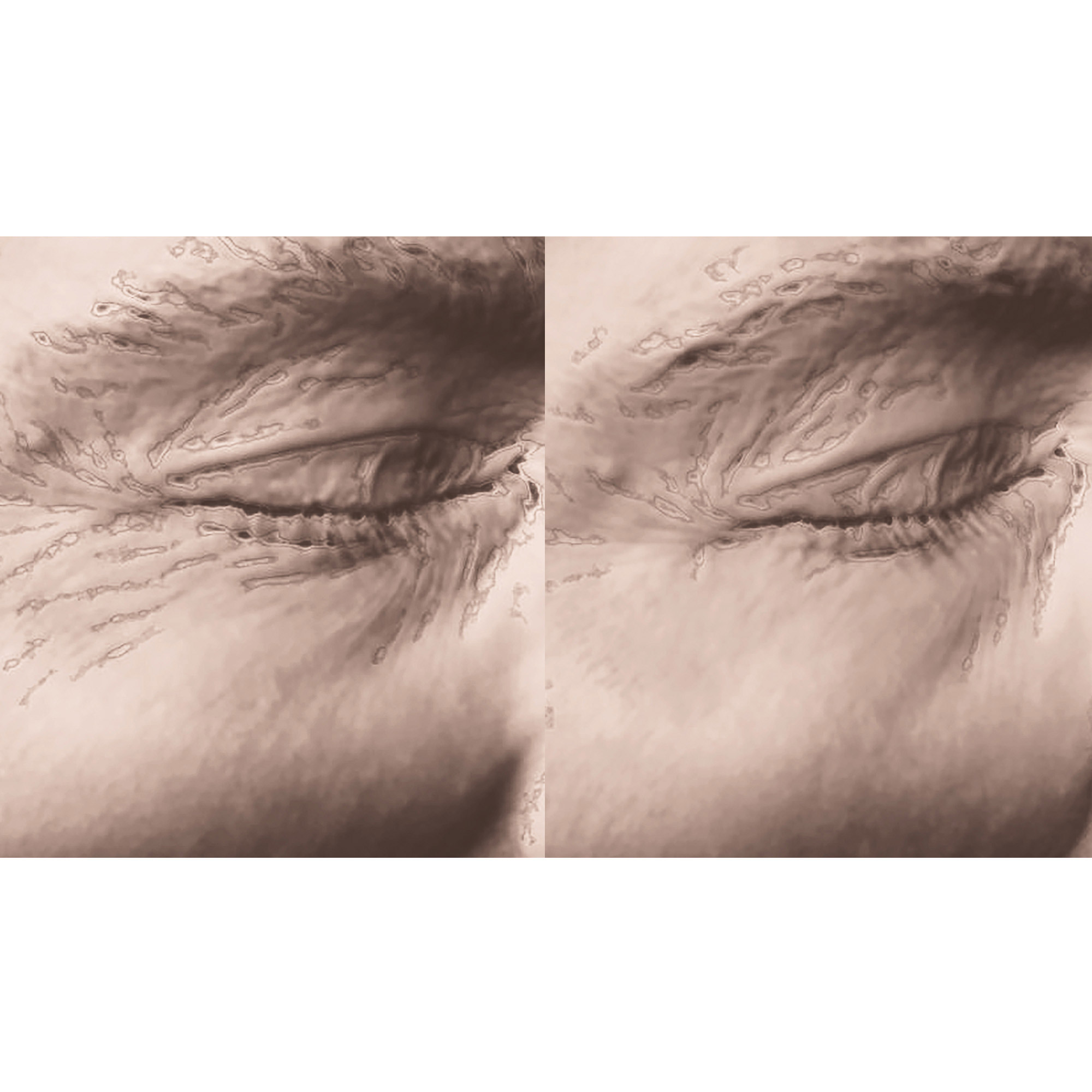 Strivectin Eye Mask Collagen Renewal 12-pack | Costco