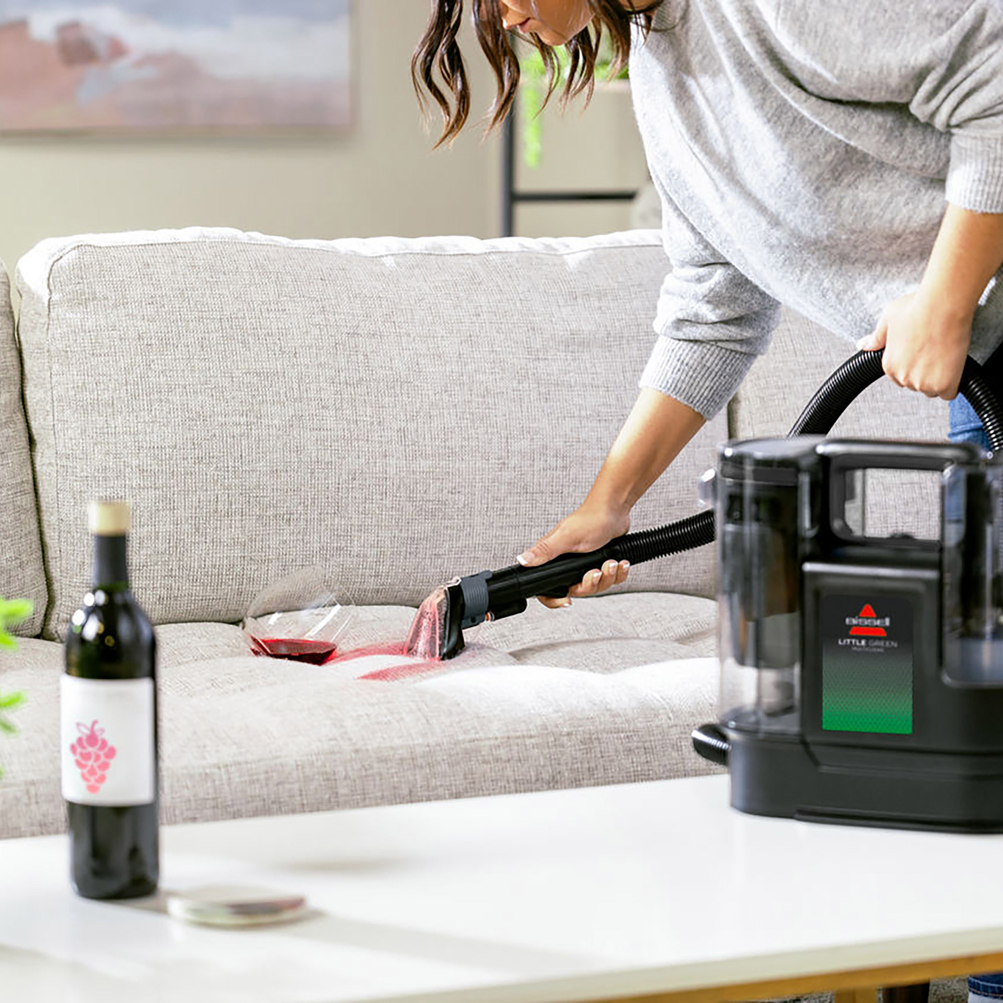 BISSELL Little Green MultiClean Wet and Dry Portable Carpet and ...