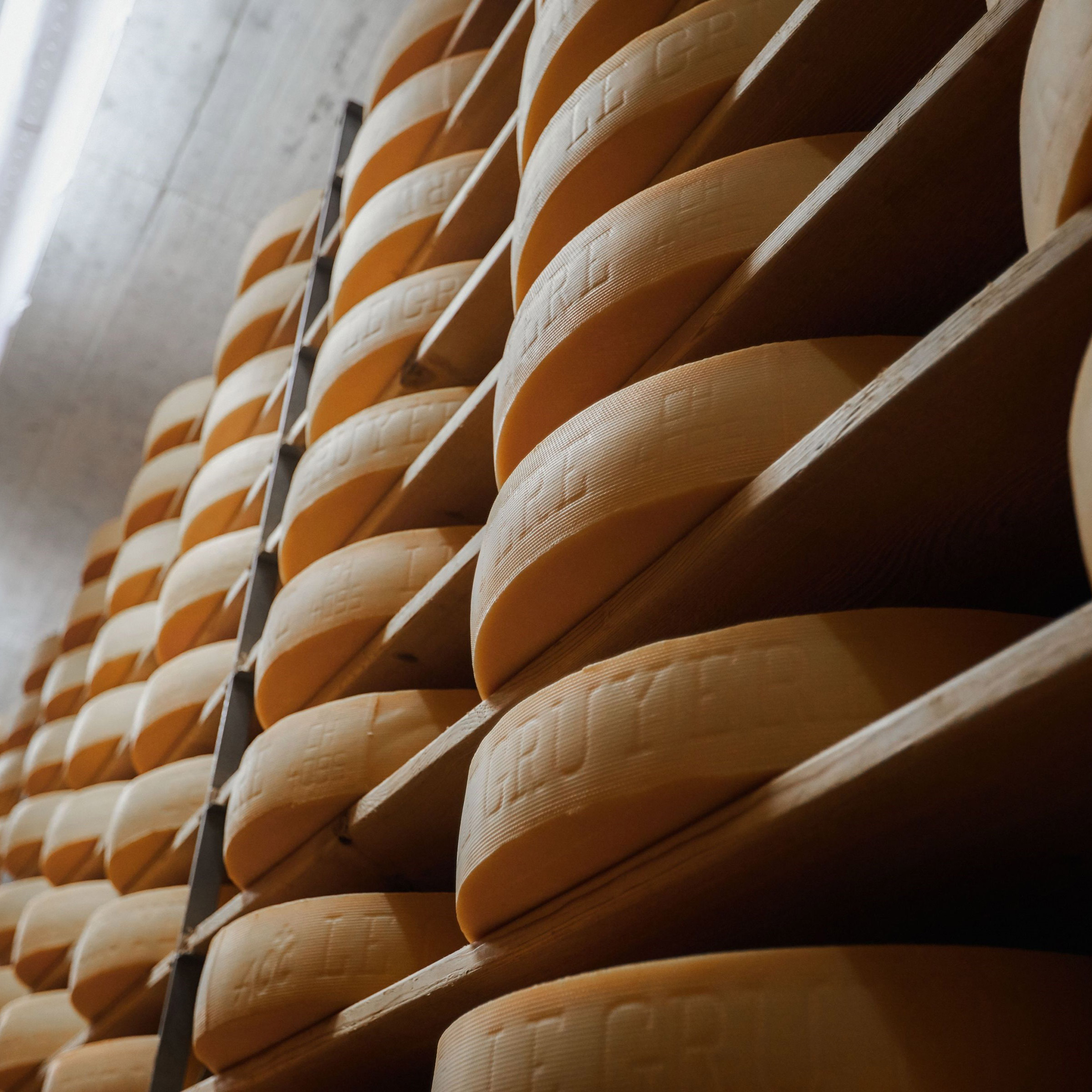 Mifroma Gruyere Whole Wheel Cheese 70 lbs. | Costco