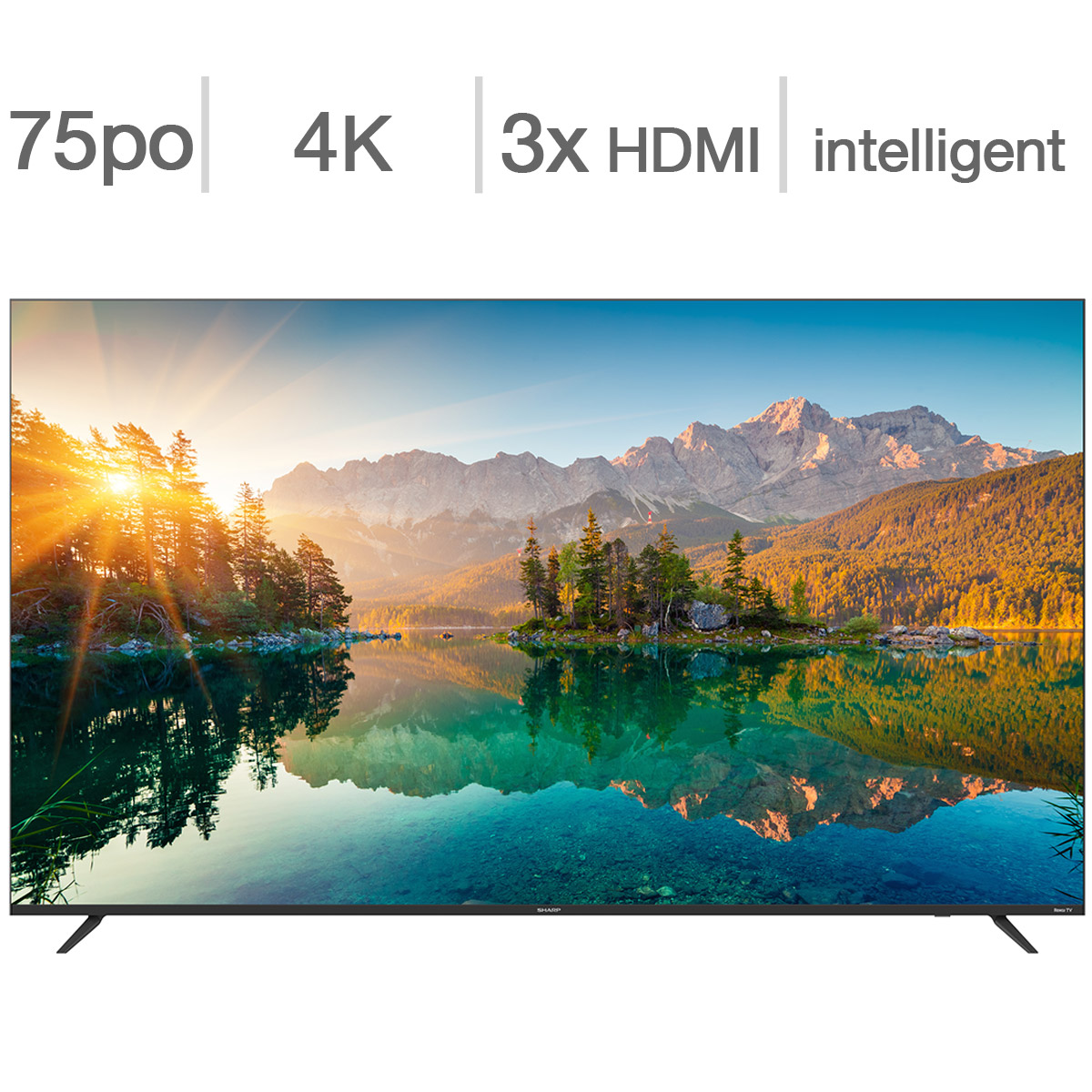 75 po Téléviseurs | Costco