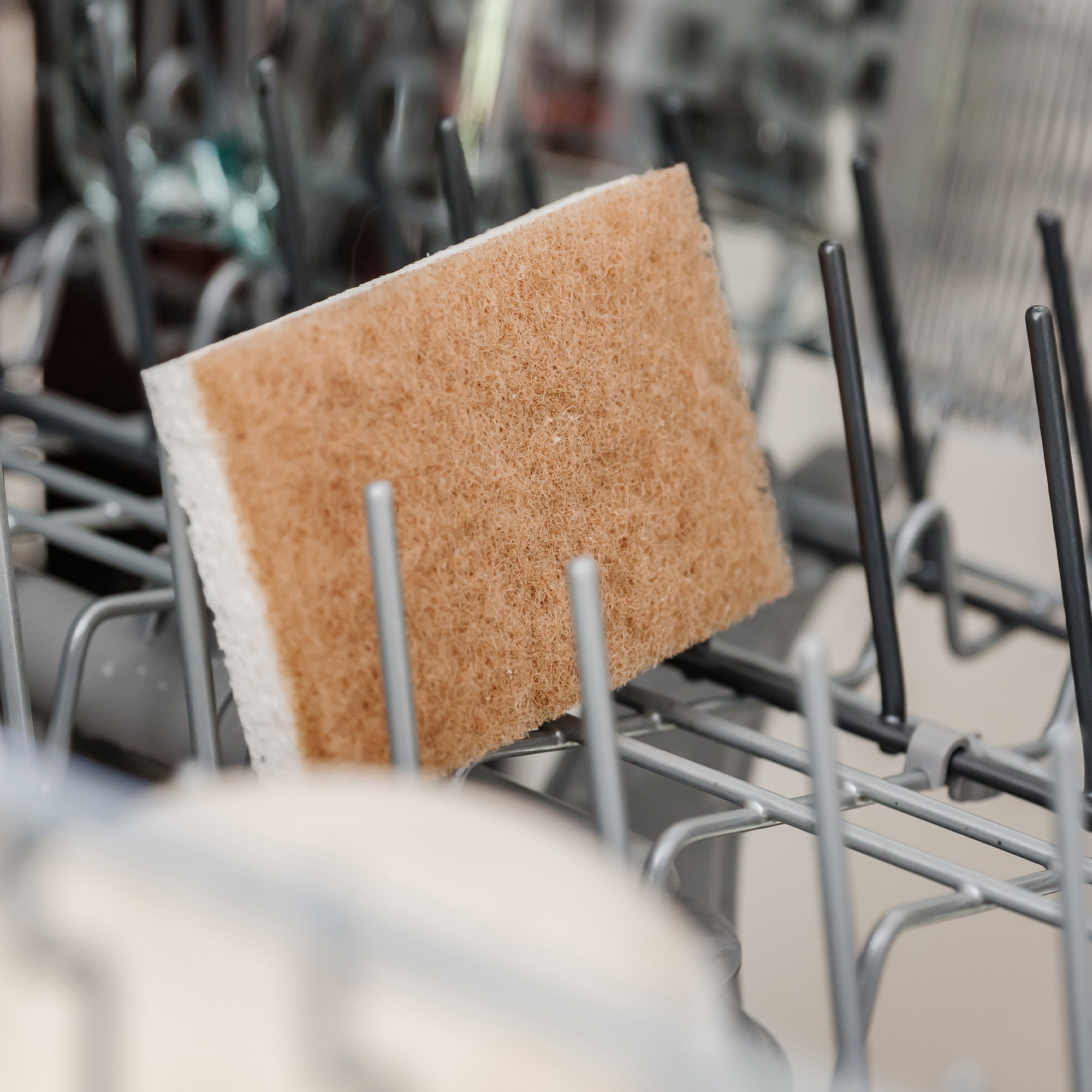 Full Circle Walnut Non-Scratch Sponge, 24-count | Costco