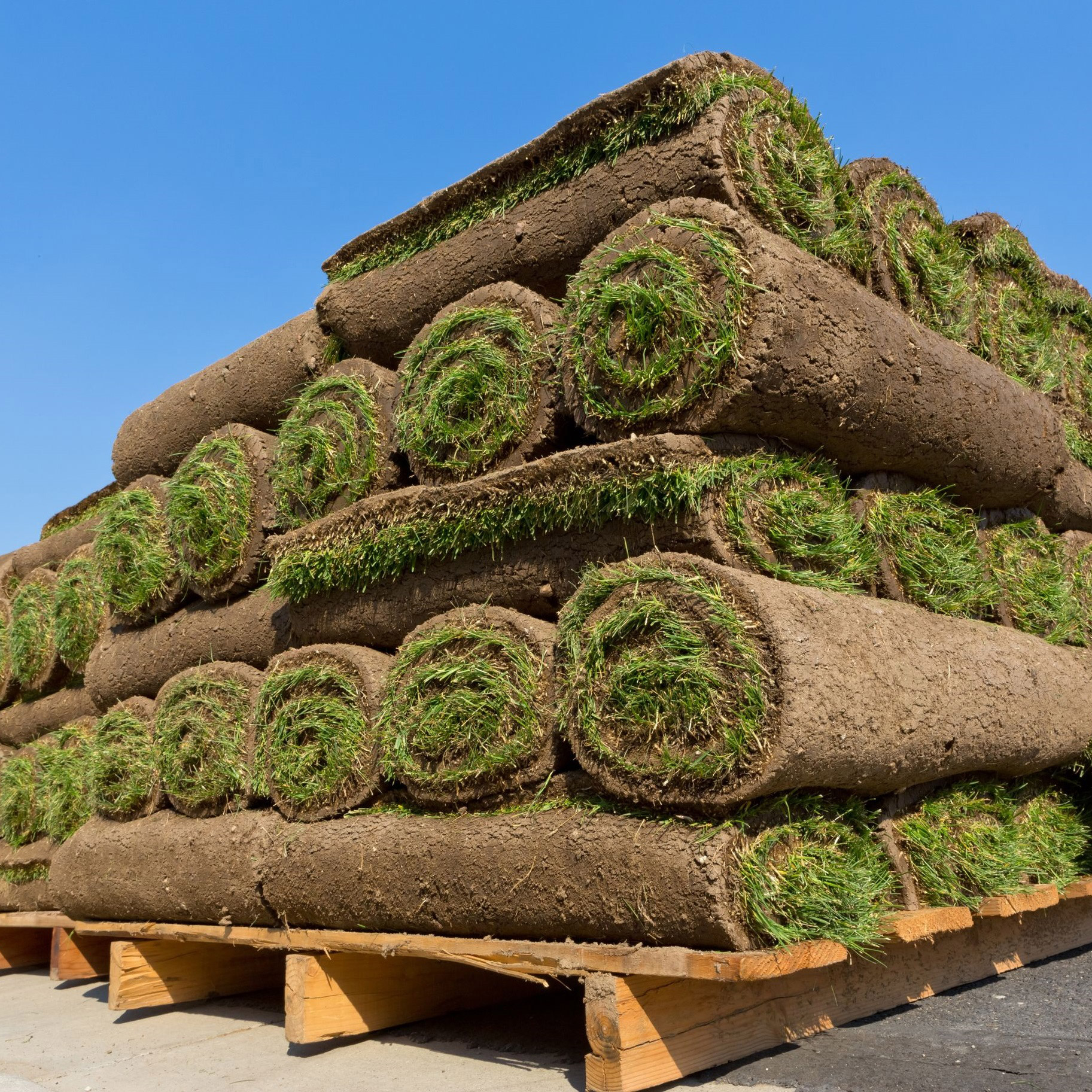 East Canada Turf Sod 1310+ sq. ft. | Costco