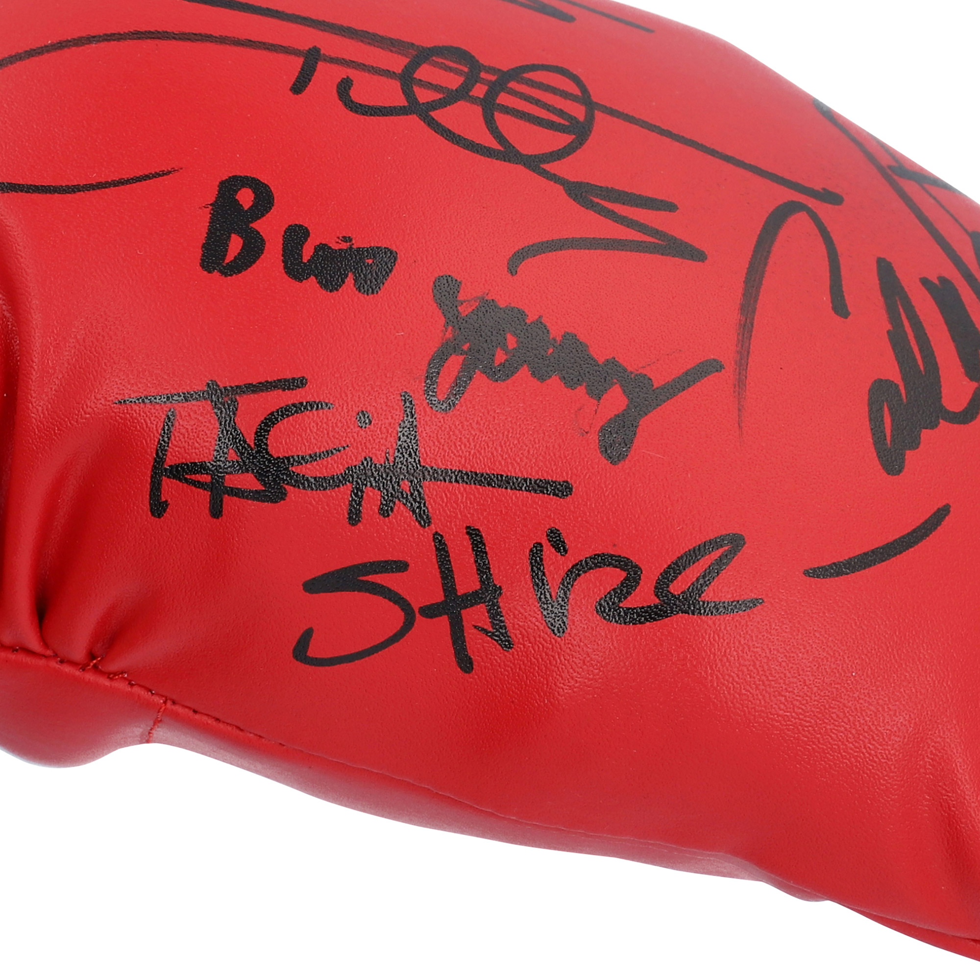 Rocky Cast Autographed Fanatics Authentic Boxing Glove with 4 ...