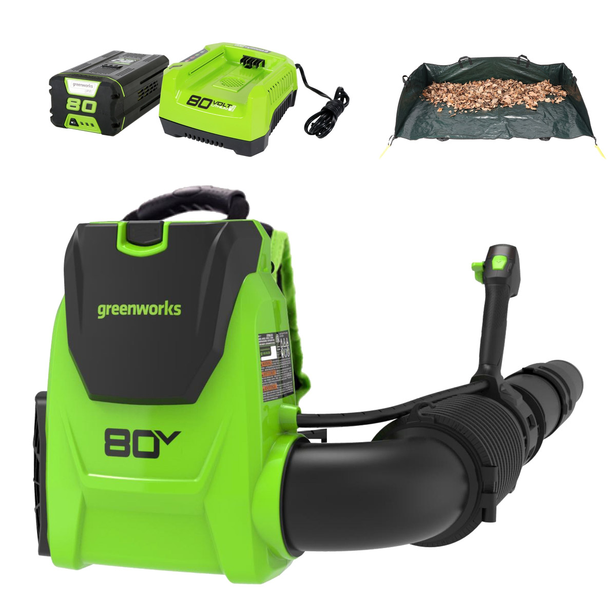 GreenWorks Leaf Blowers | Costco
