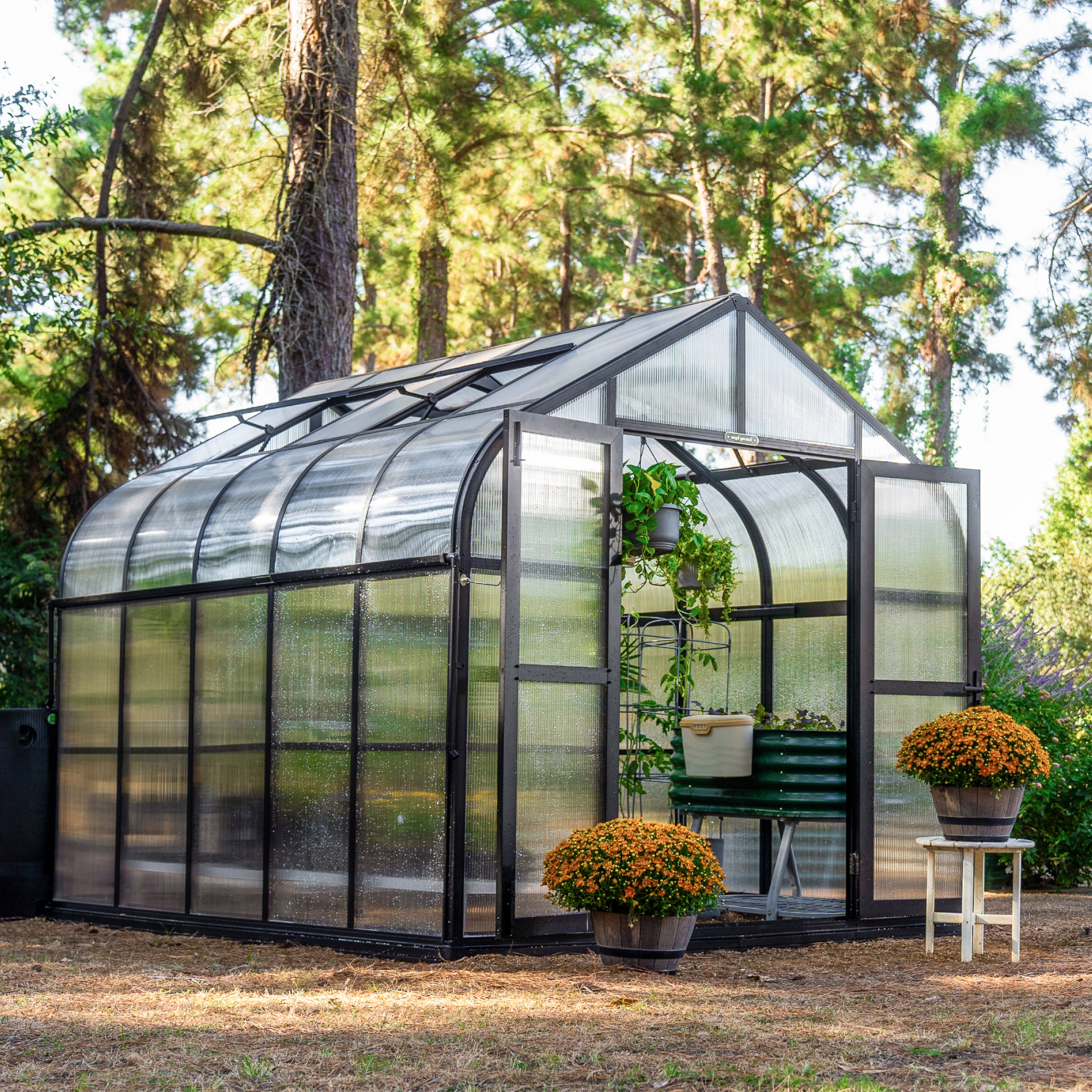 Vego Garden Pacific Greenhouse with Auto Vents and Folding Shelf Bundle ...