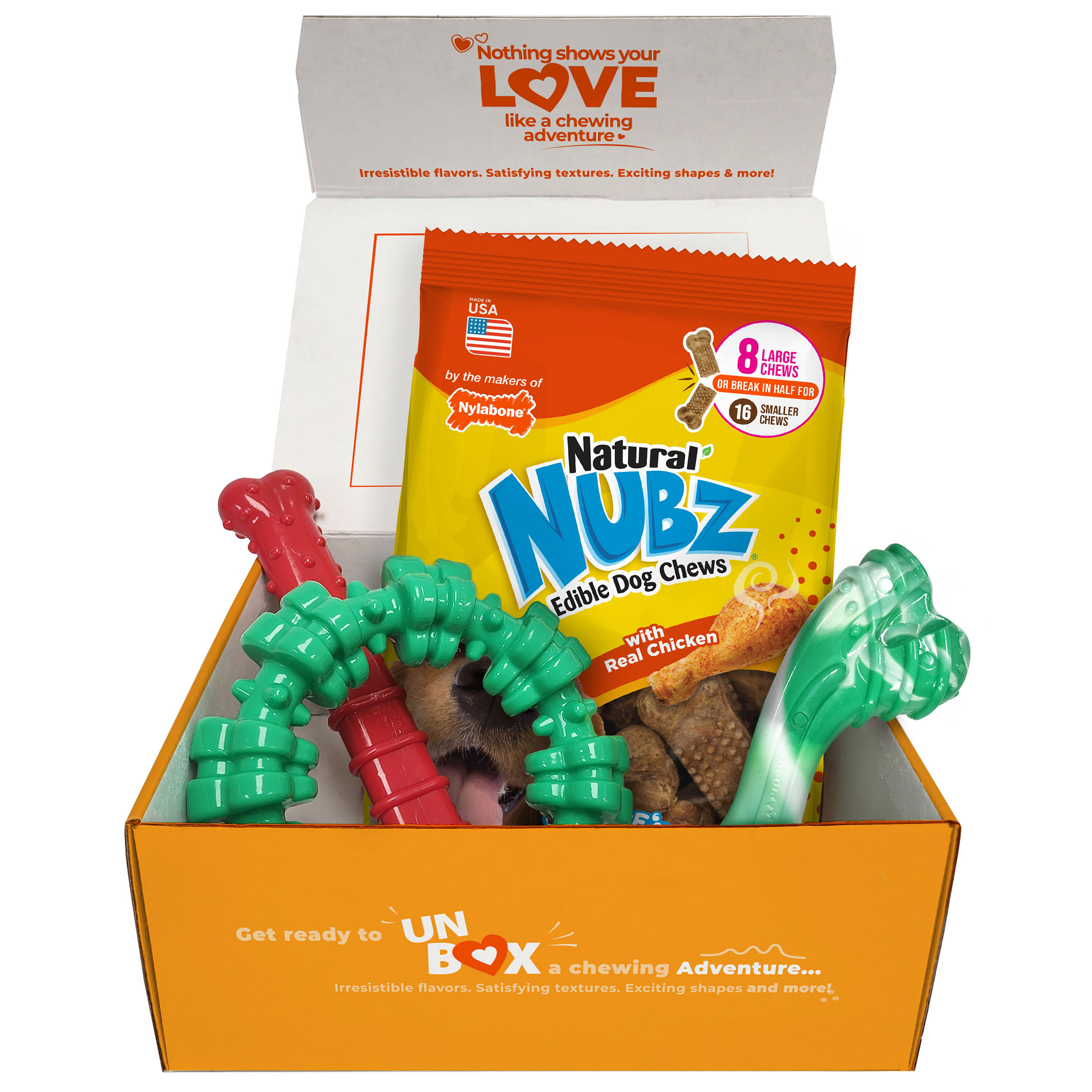 Nylabone Chew Toys & NUBZ Chew Treats Gift Box, 4-count | Costco