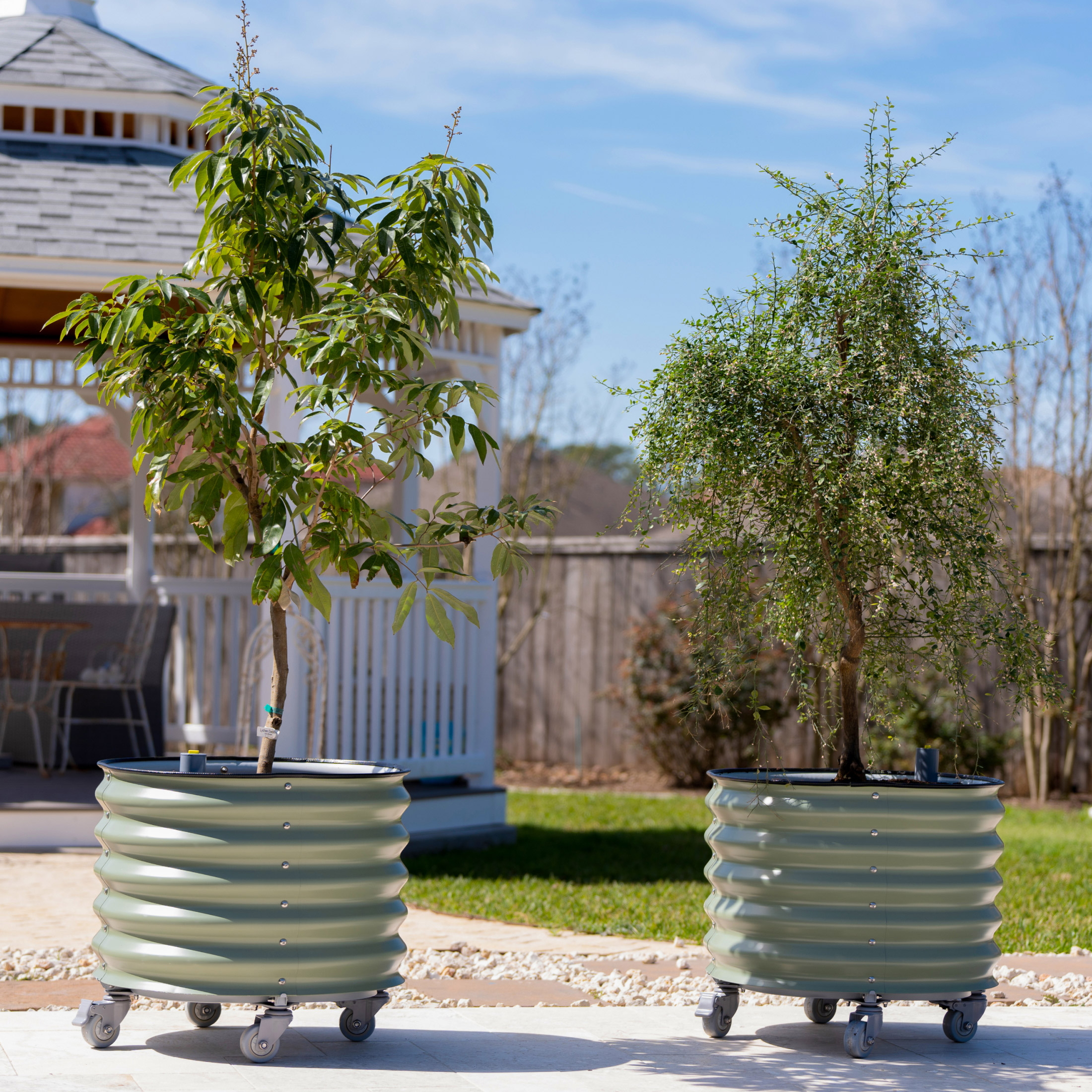 Vego Garden Self-Watering Rolling Citrus Tree Planter | Costco