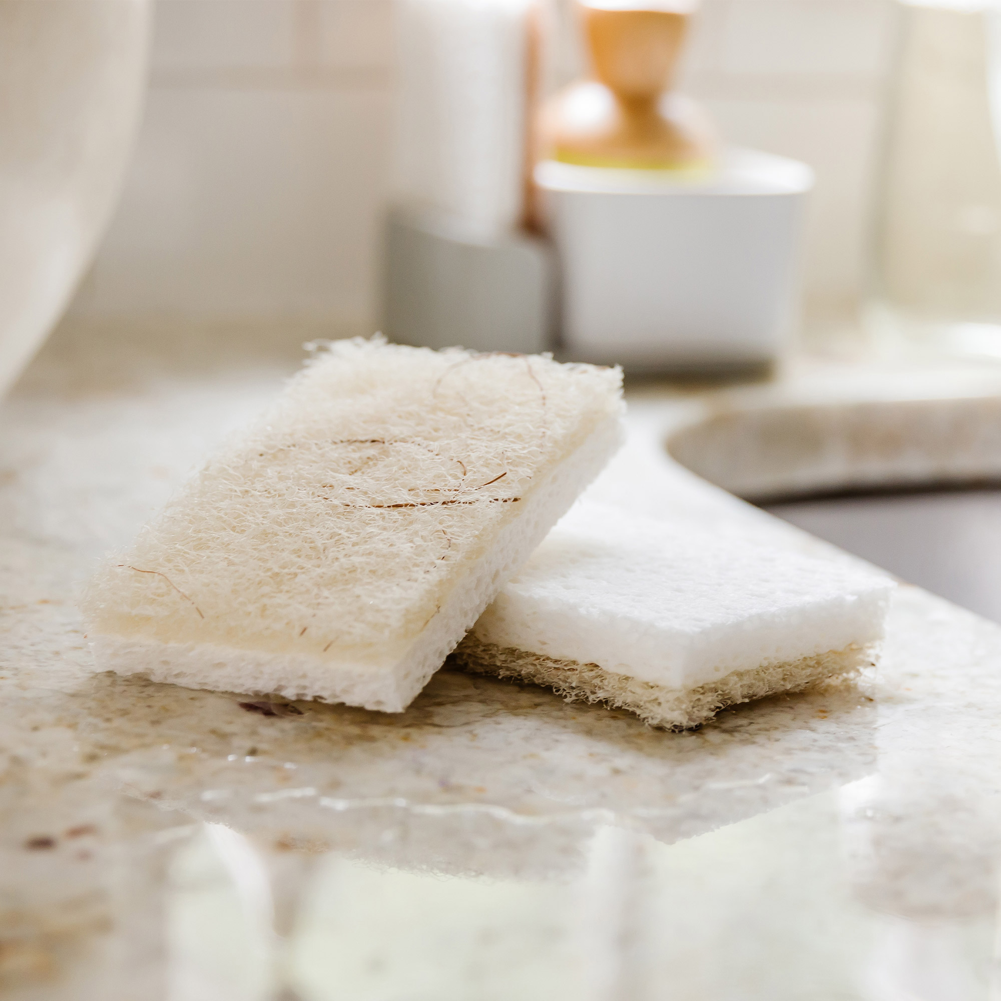 Full Circle Coconut Heavy-Duty Sponge, 24-count | Costco