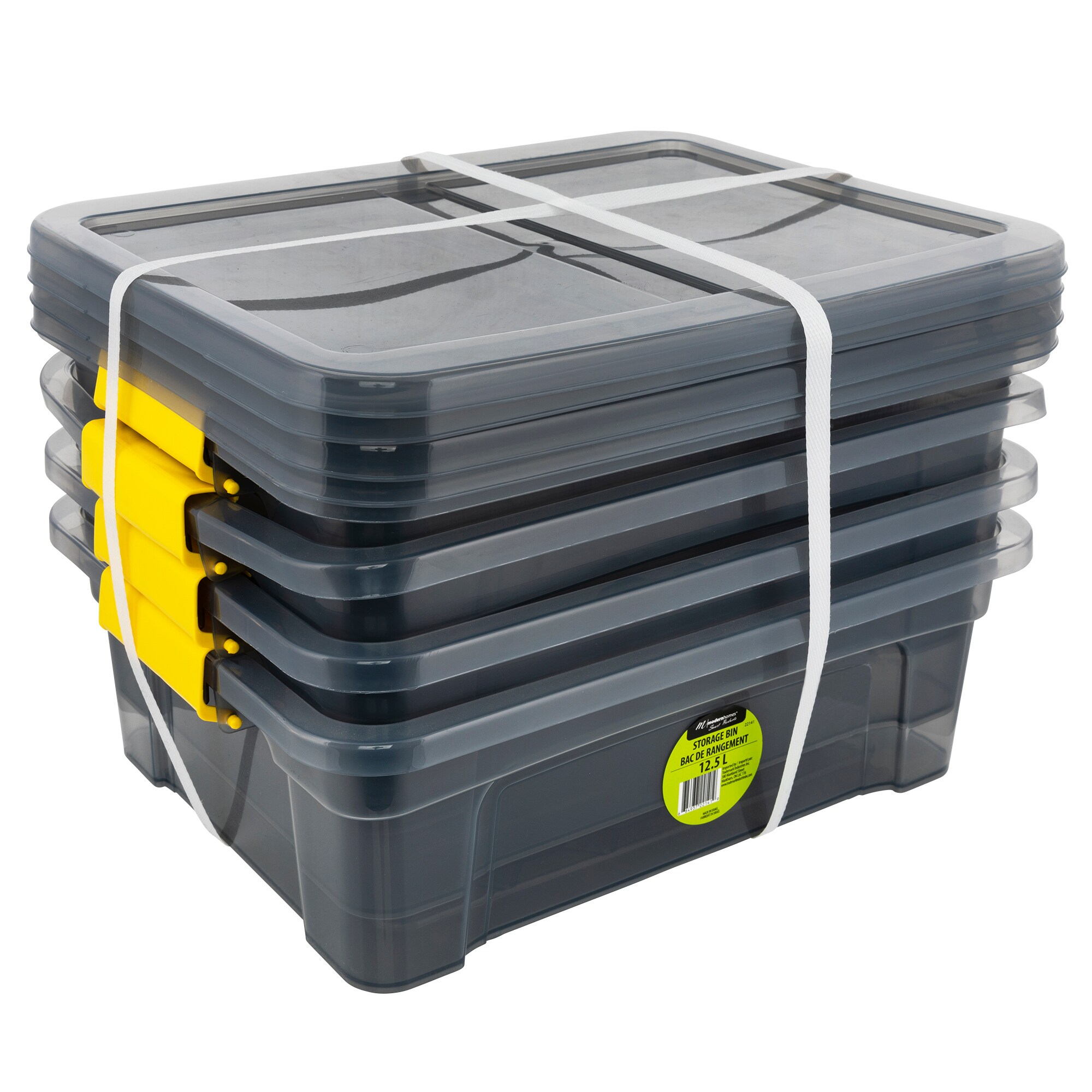 Modern Homes Storage Container 12.5 L, 4-pack | Costco