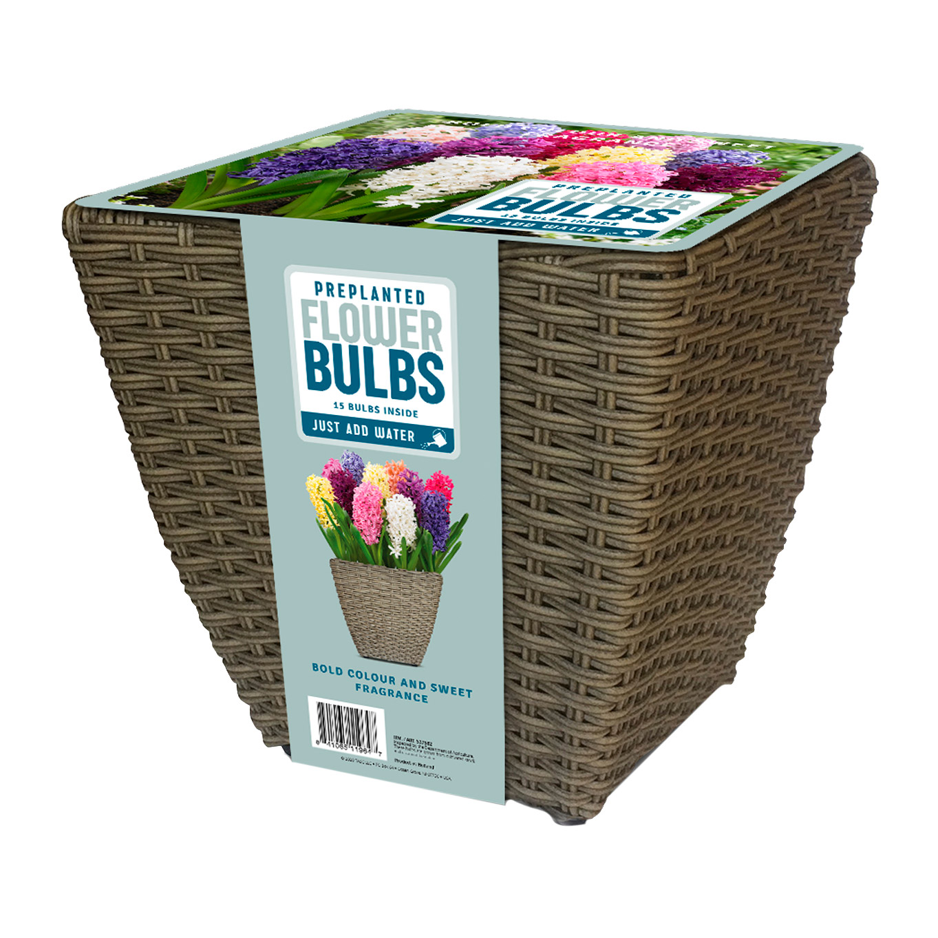 Fall Preplanted Bulb - Assorted Hyacinths | Costco